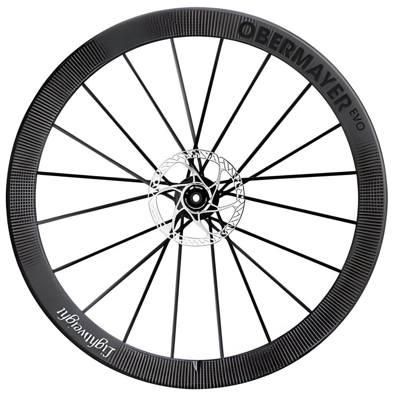 Lightweight Obermayer EVO Schwarz ED tubeless Disc rear wheel LordGun ...