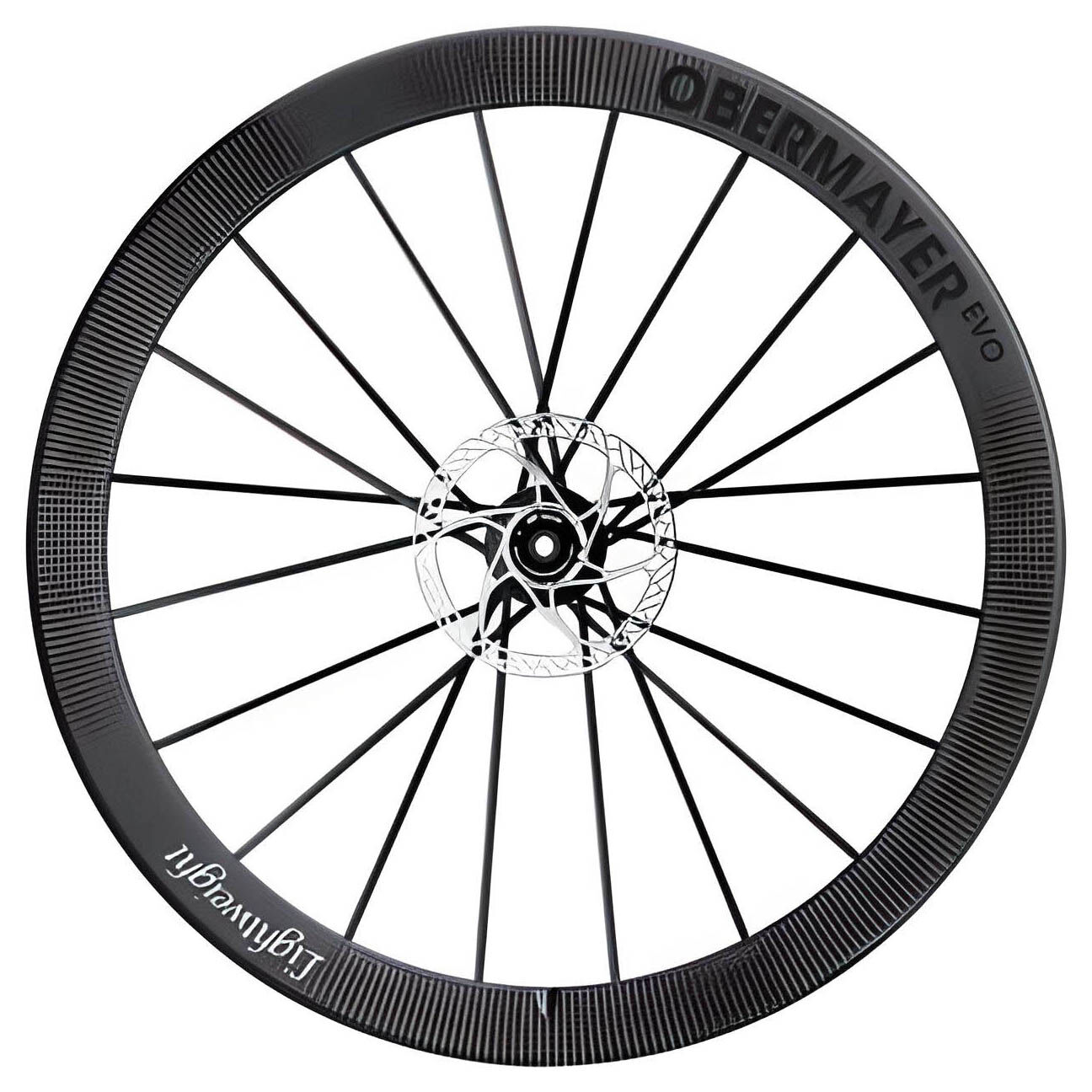Lightweight Obermayer EVO Schwarz ED tubeless Disc front wheel LordGun ...
