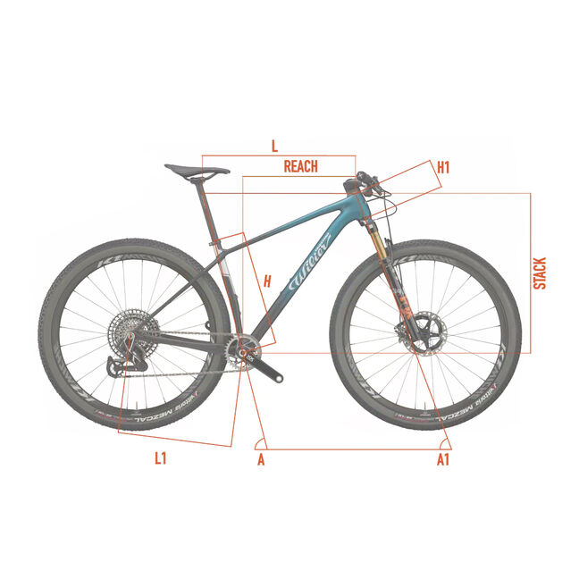Wilier hardtail mtb store