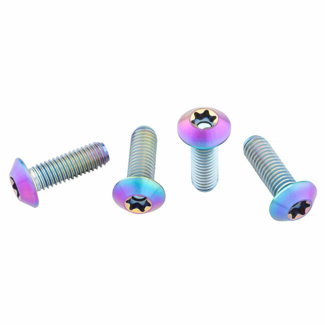 Bottle cage screws store